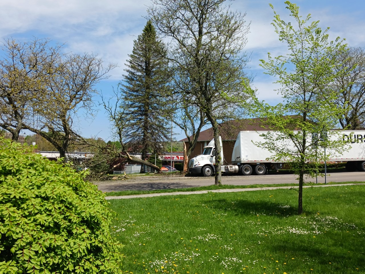 Traffic Tied Up After Tractor Trailer Hits Tree News Sports Jobs